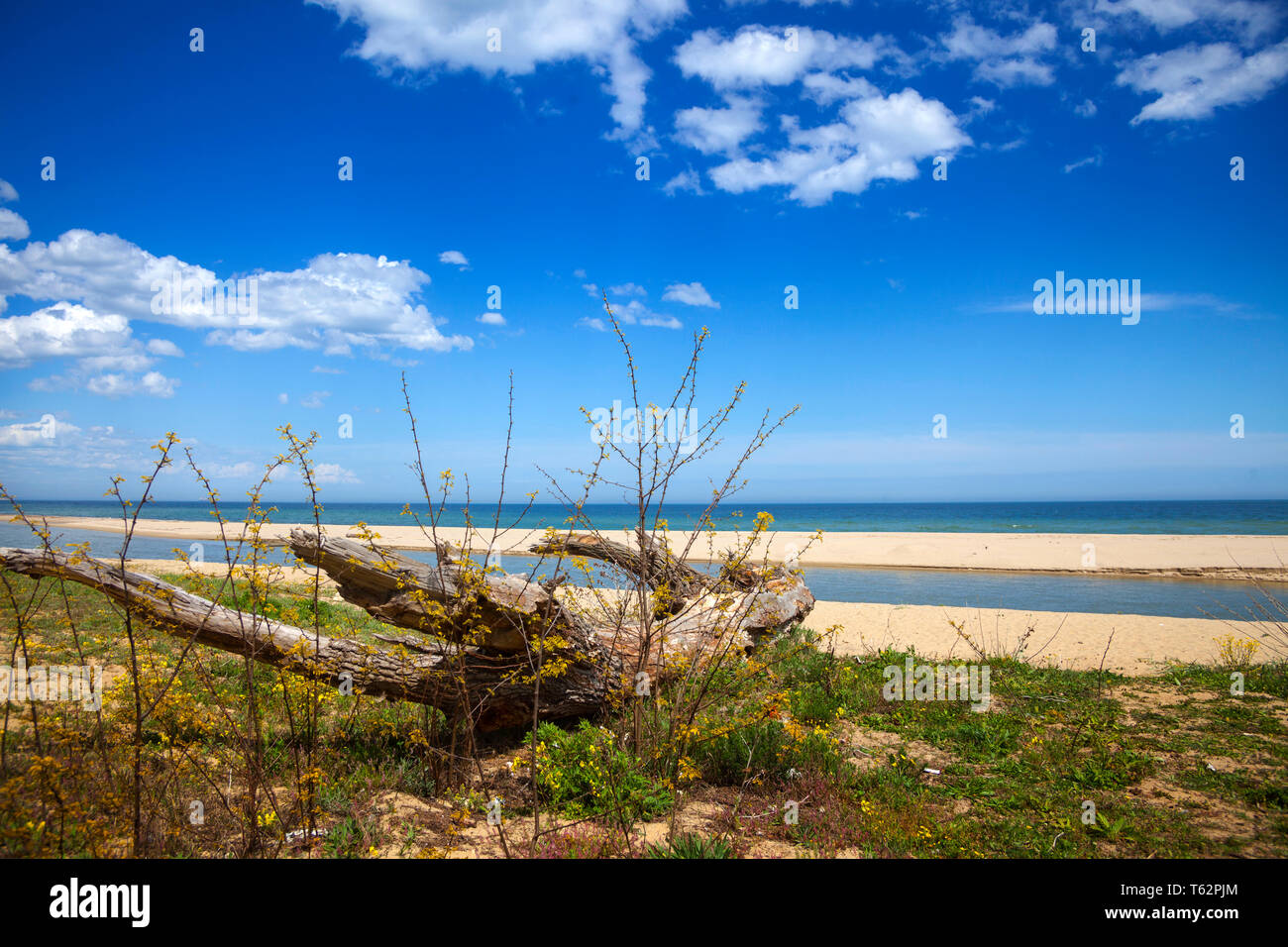 Kamchia hi-res stock photography and images - Alamy