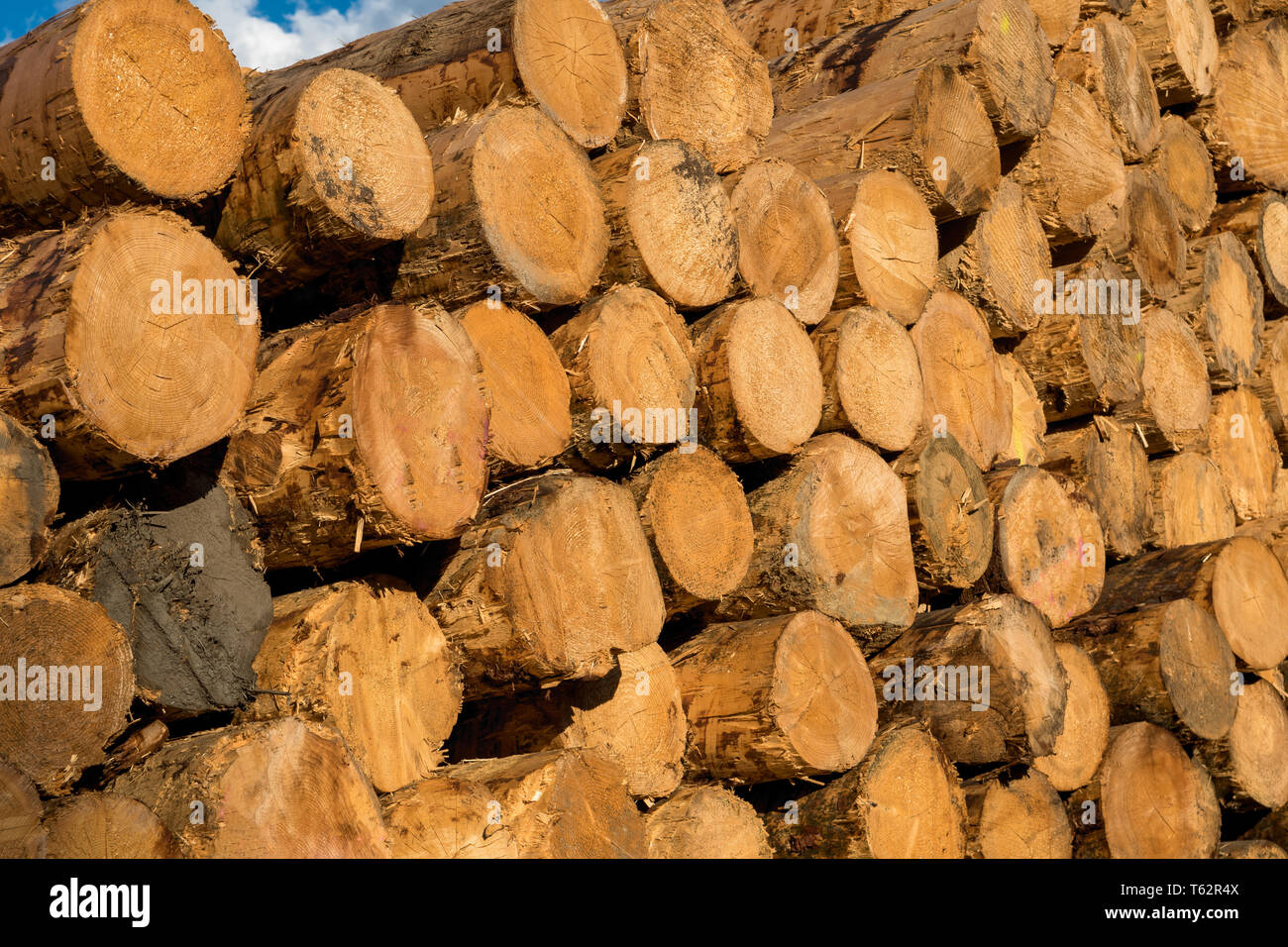 Natural resource exploitation hi-res stock photography and images - Alamy