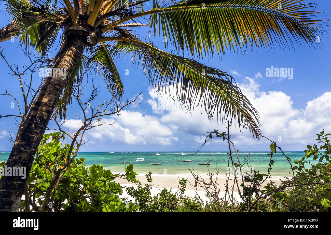 Amazing Diani beach seascape with white sand and turquoise Indian Ocean ...