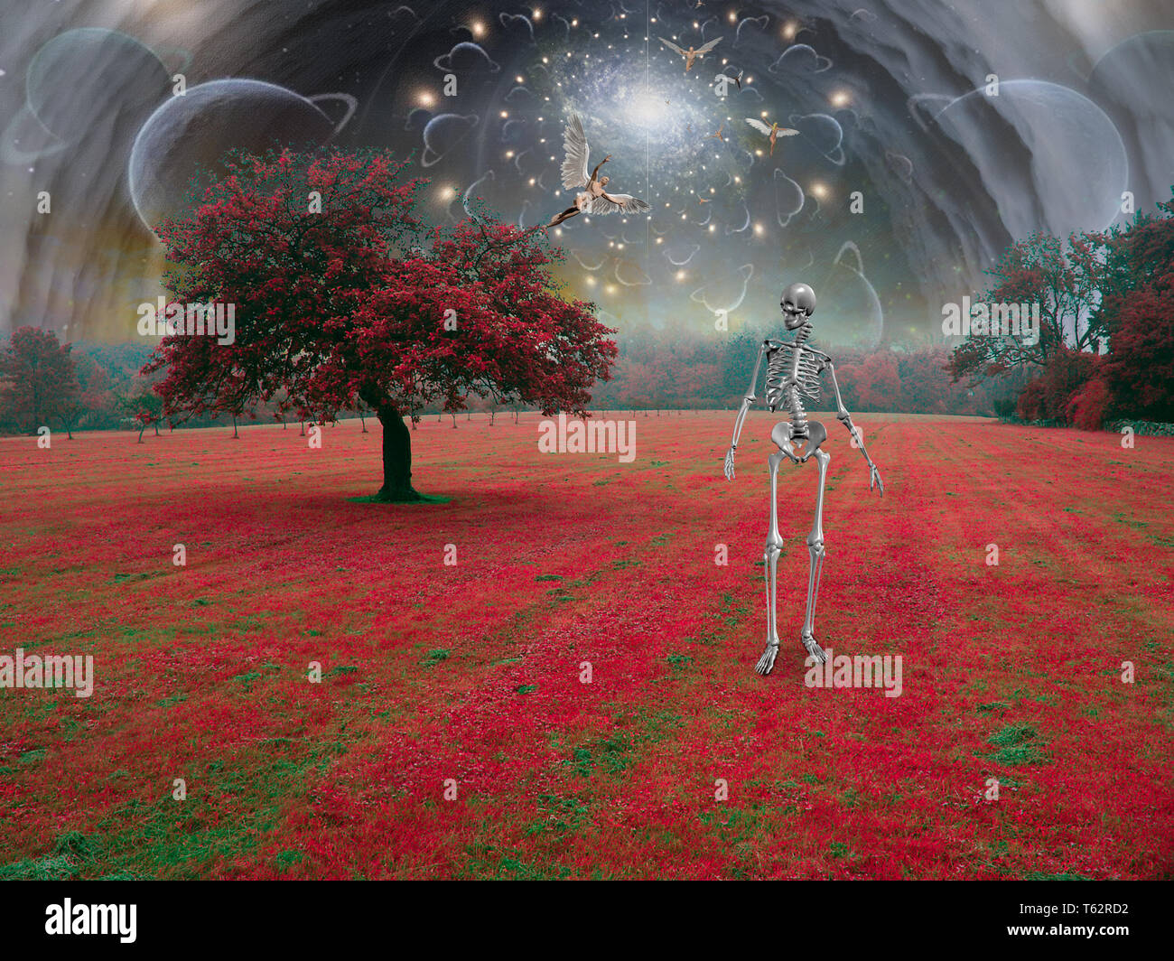 Skeleton in surreal landscape. Angels fly in the sky Stock Photo - Alamy