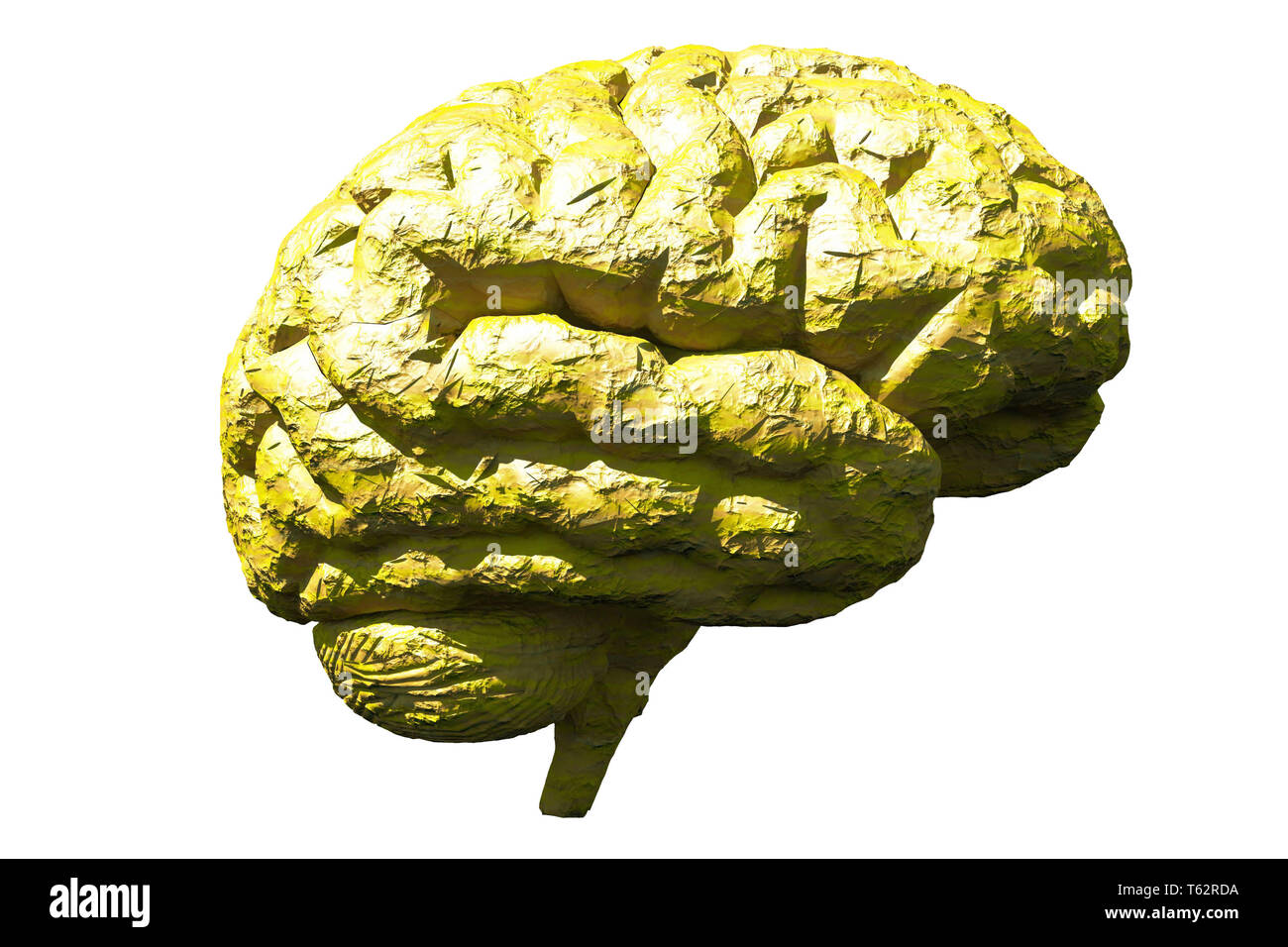 Human brain in vivid colors Stock Photo - Alamy Human brain in vivid colors Stock Photo - Alamy