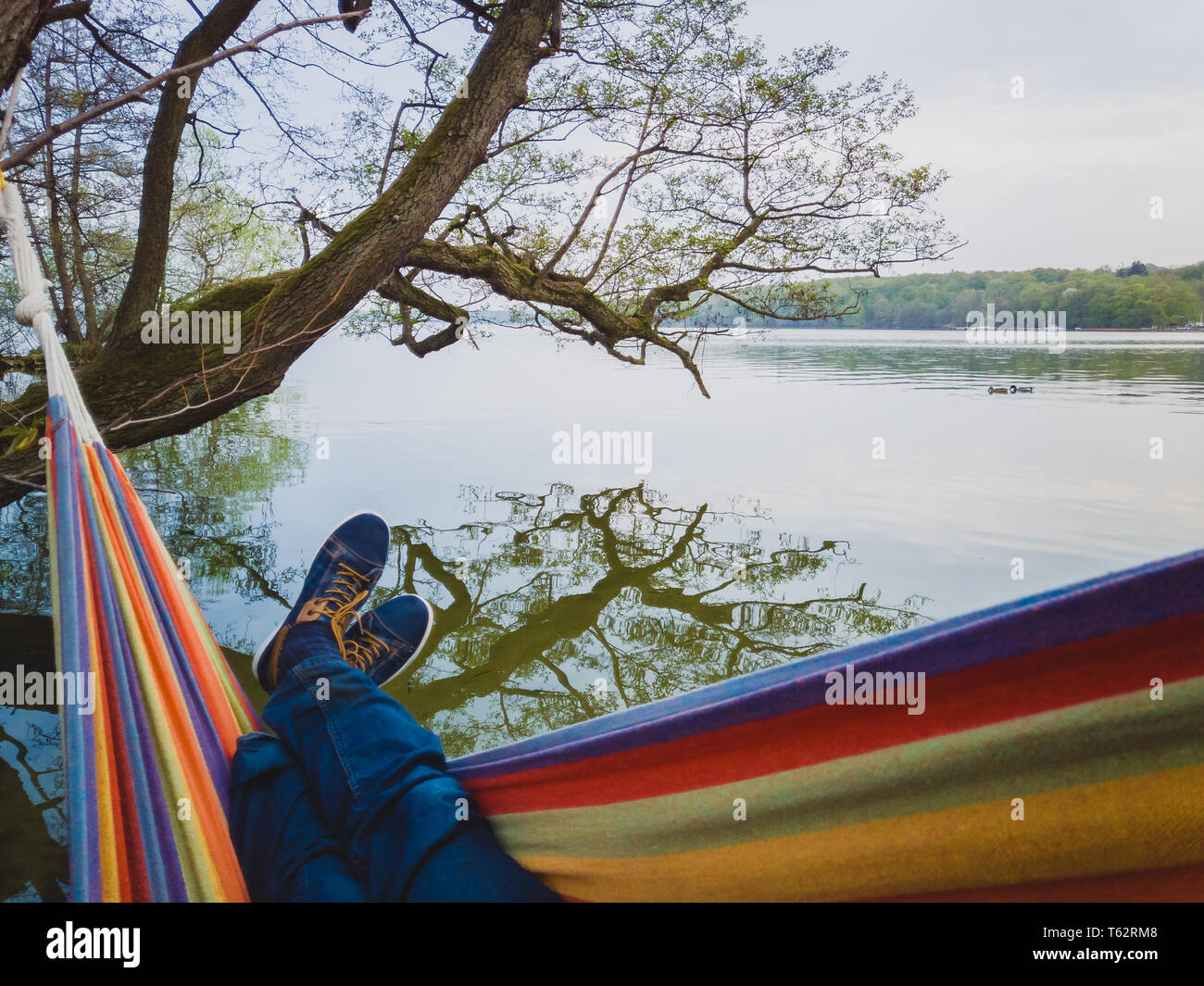 Man with blue shoes and jeans swings in colorful hammock hangs on shore ...
