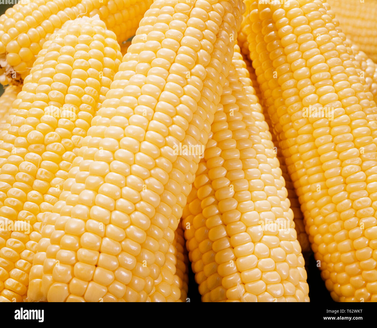 1970s CLOSE UP PILE OF YELLOW CORN ON THE COB - kf5153 HAR001 HARS OLD ...