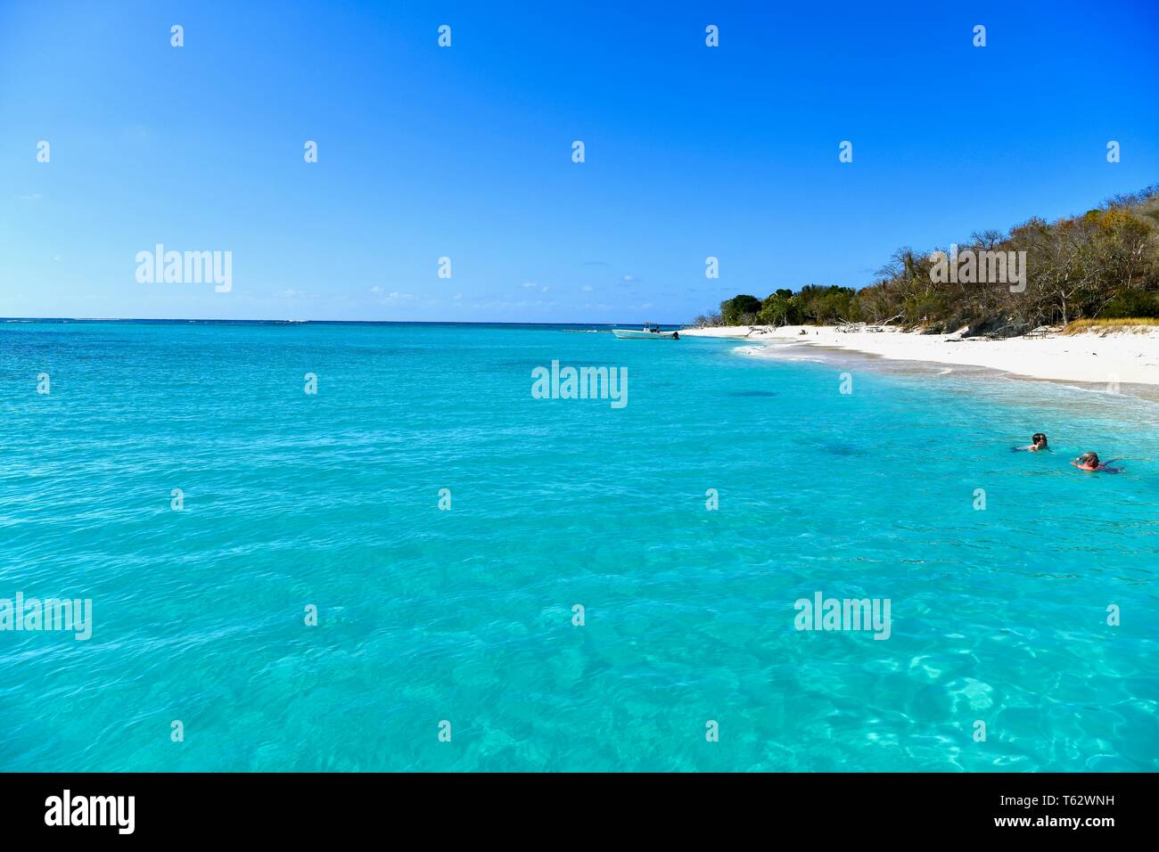 Turquoise ocean waters surrounding buck island, St. Croix, United ...