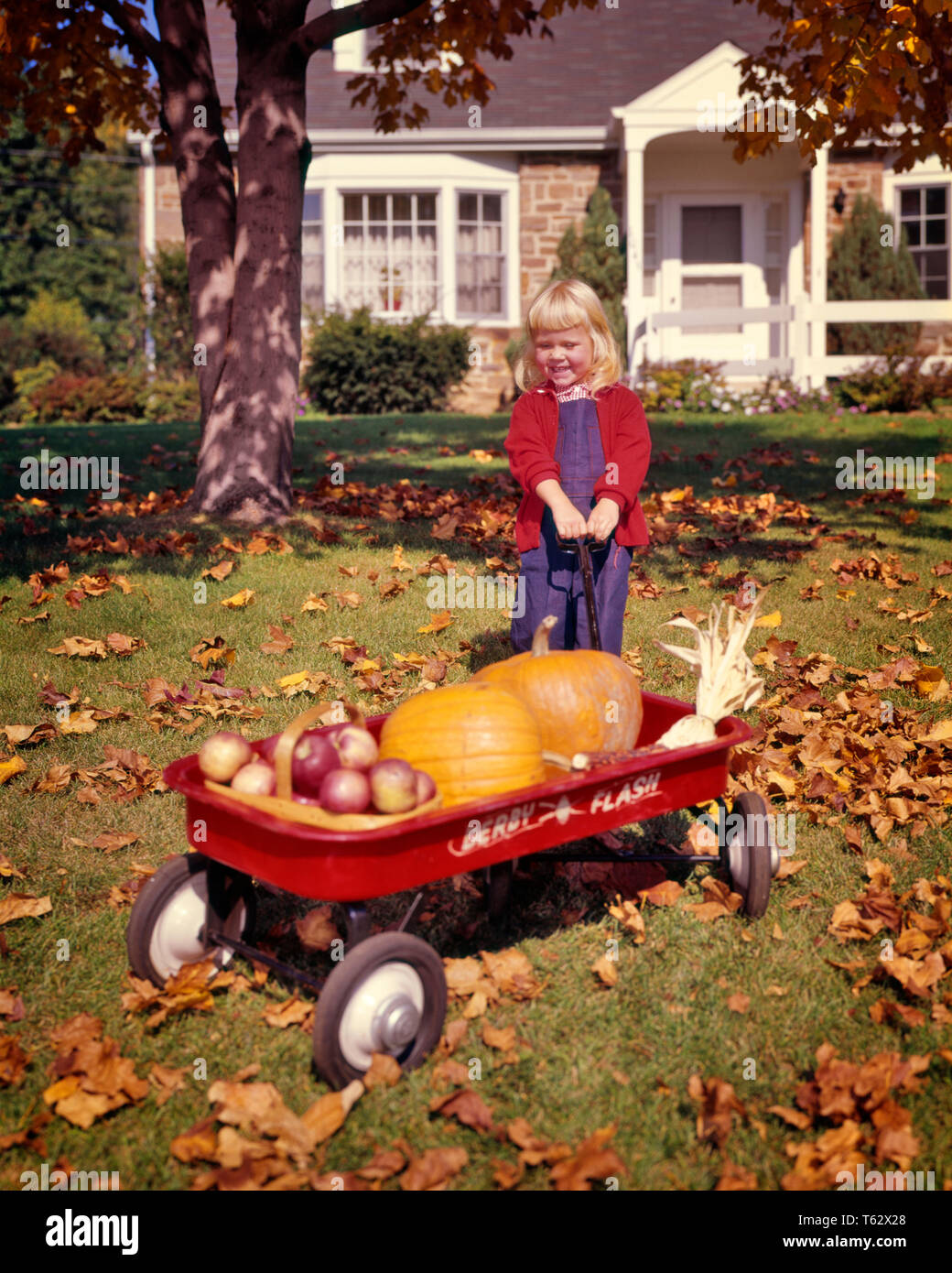 1960s LITTLE BLONDE GIRL PULLING RED WAGON FULL OF HARVEST APPLES ...