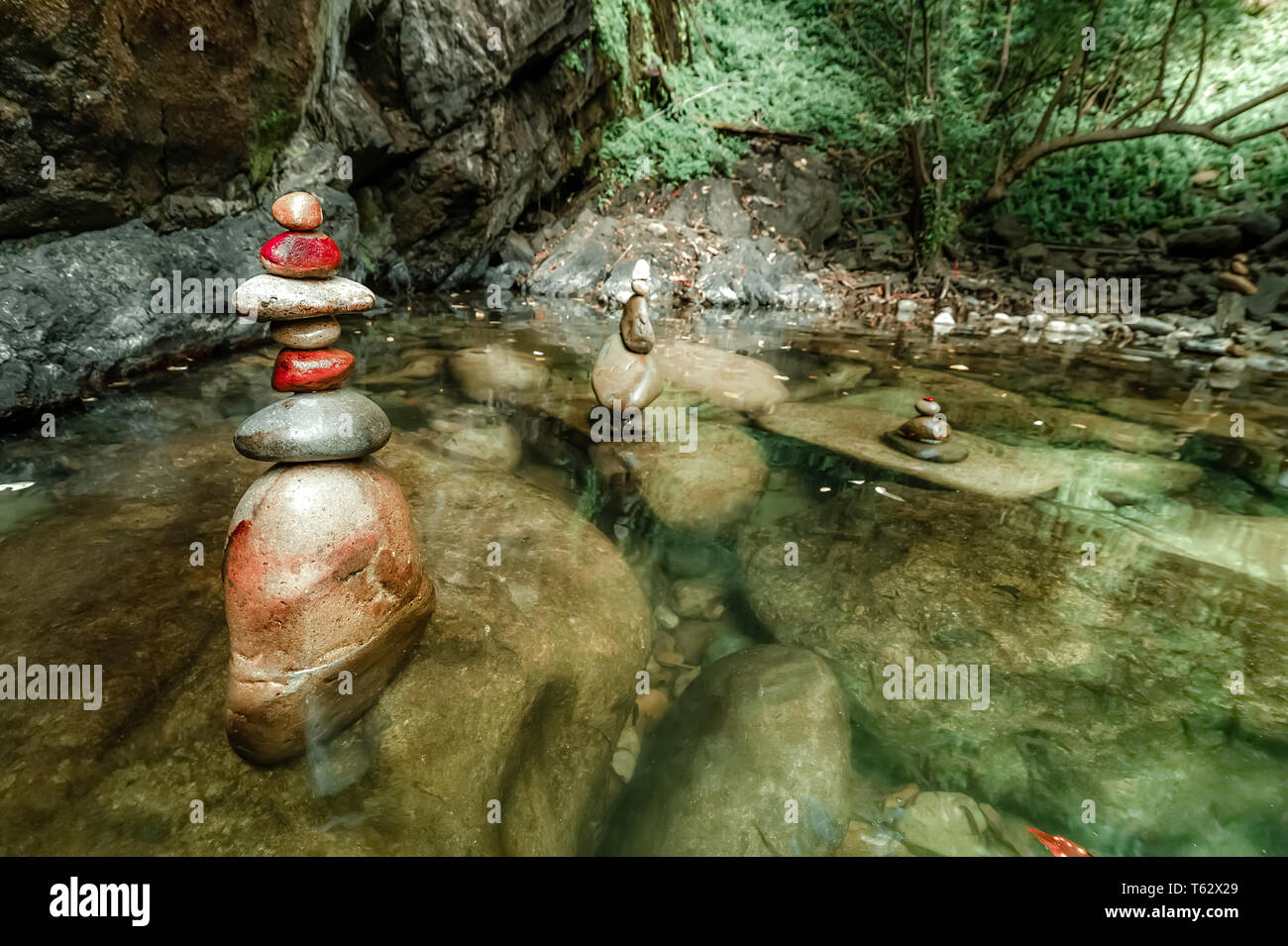 Amazing tropical rain forest landscape with lake tranquil water and ...