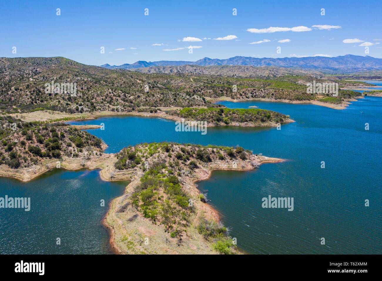 Opatas hi-res stock photography and images - Alamy