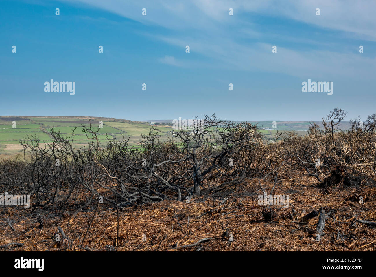 Heather burnt hi-res stock photography and images - Alamy