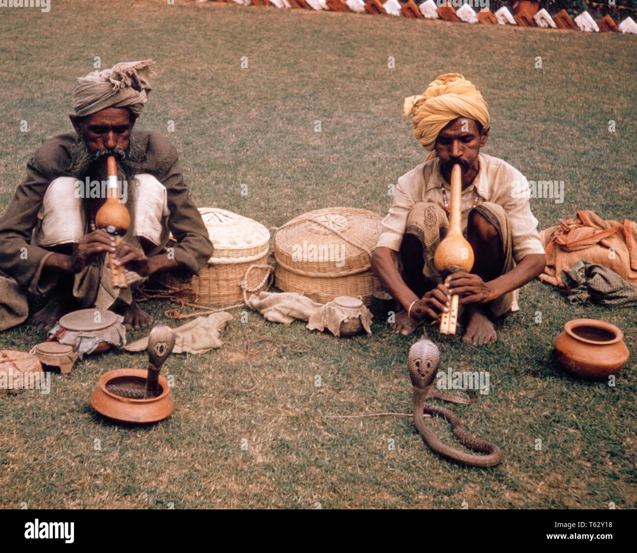 Indian snake hi-res stock photography and images - Alamy