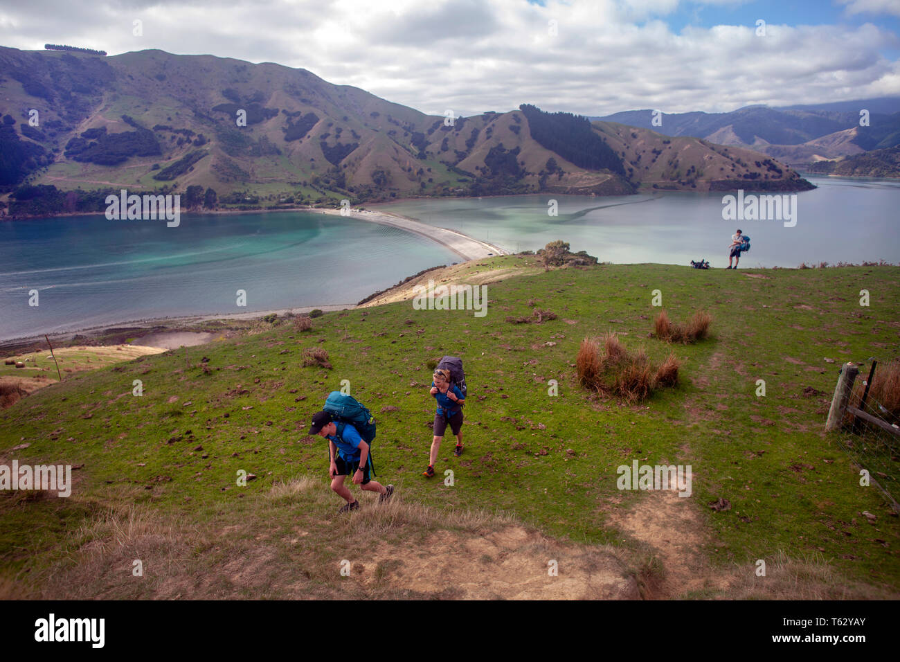 Walking at Cable Bay with Pepin Island in the background, Nelson, New ...