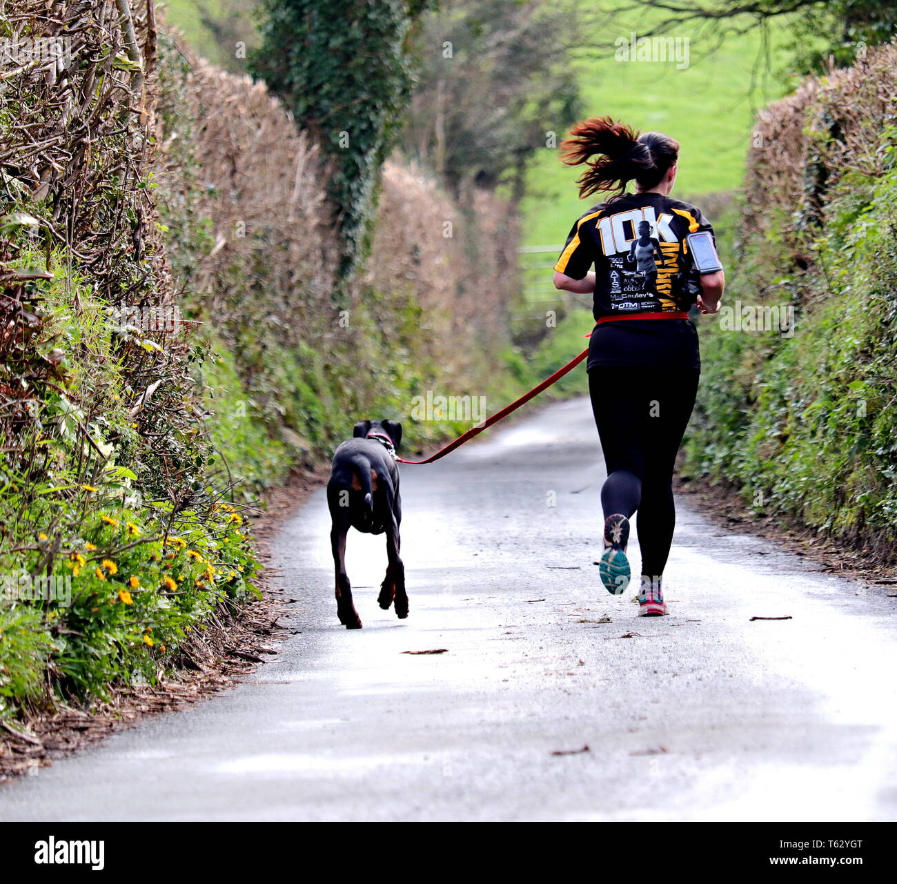 Countryside jogging with dog hi-res stock photography and images - Alamy