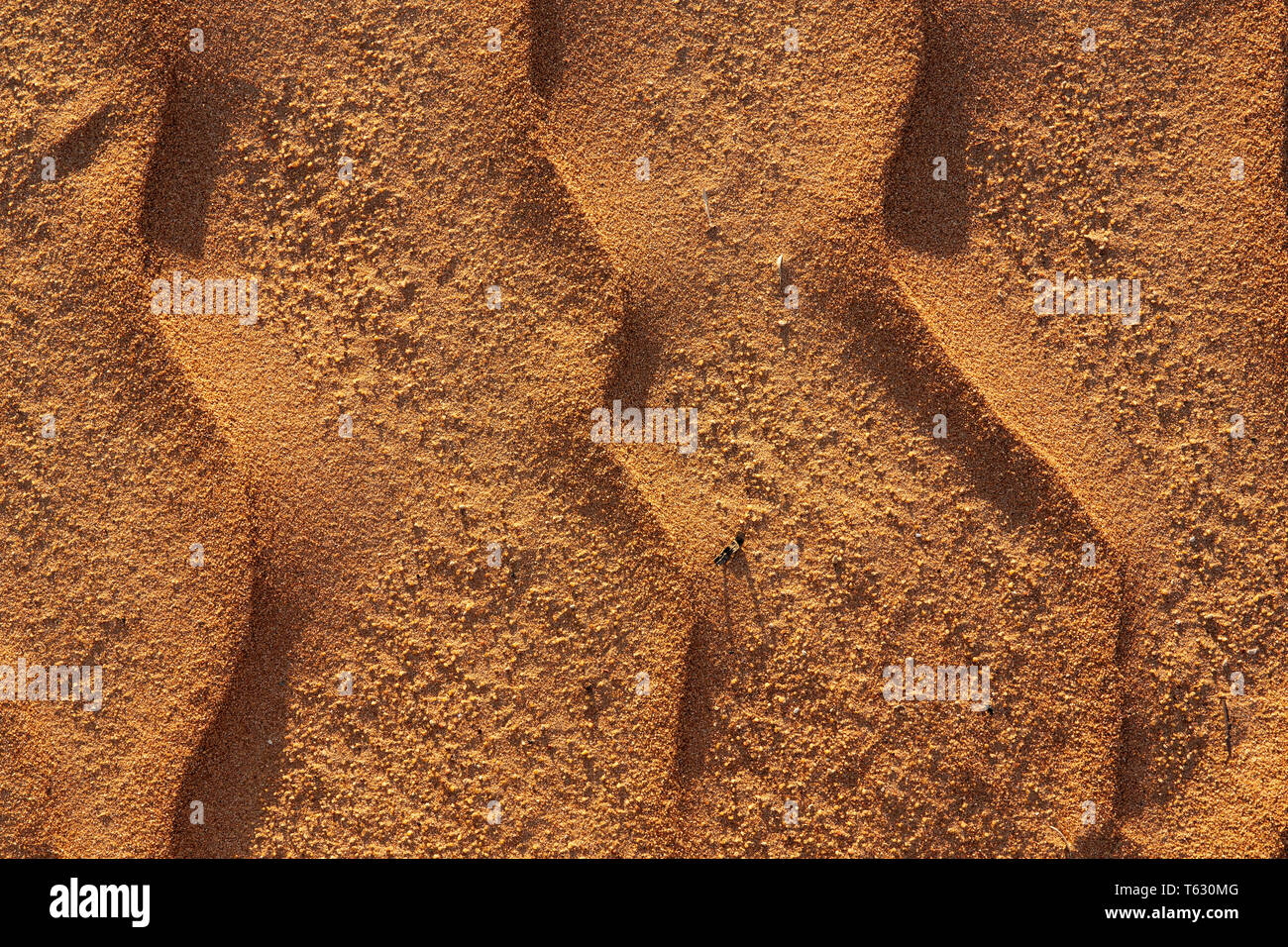 Wind moving sand across a dune in southern Australia forms patterns and ...