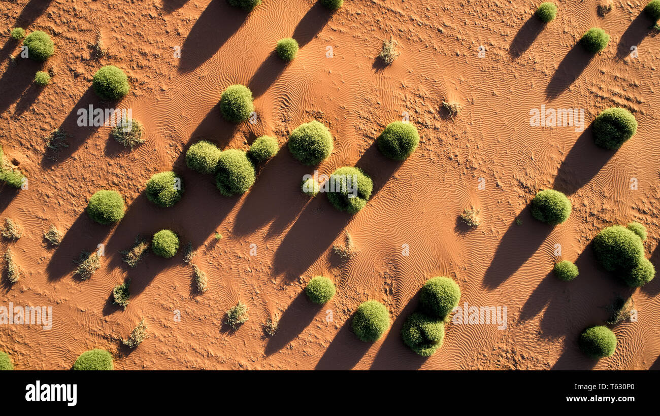 Low altitude aerial of Tumbleweed groning on a sand drift in a farmers ...