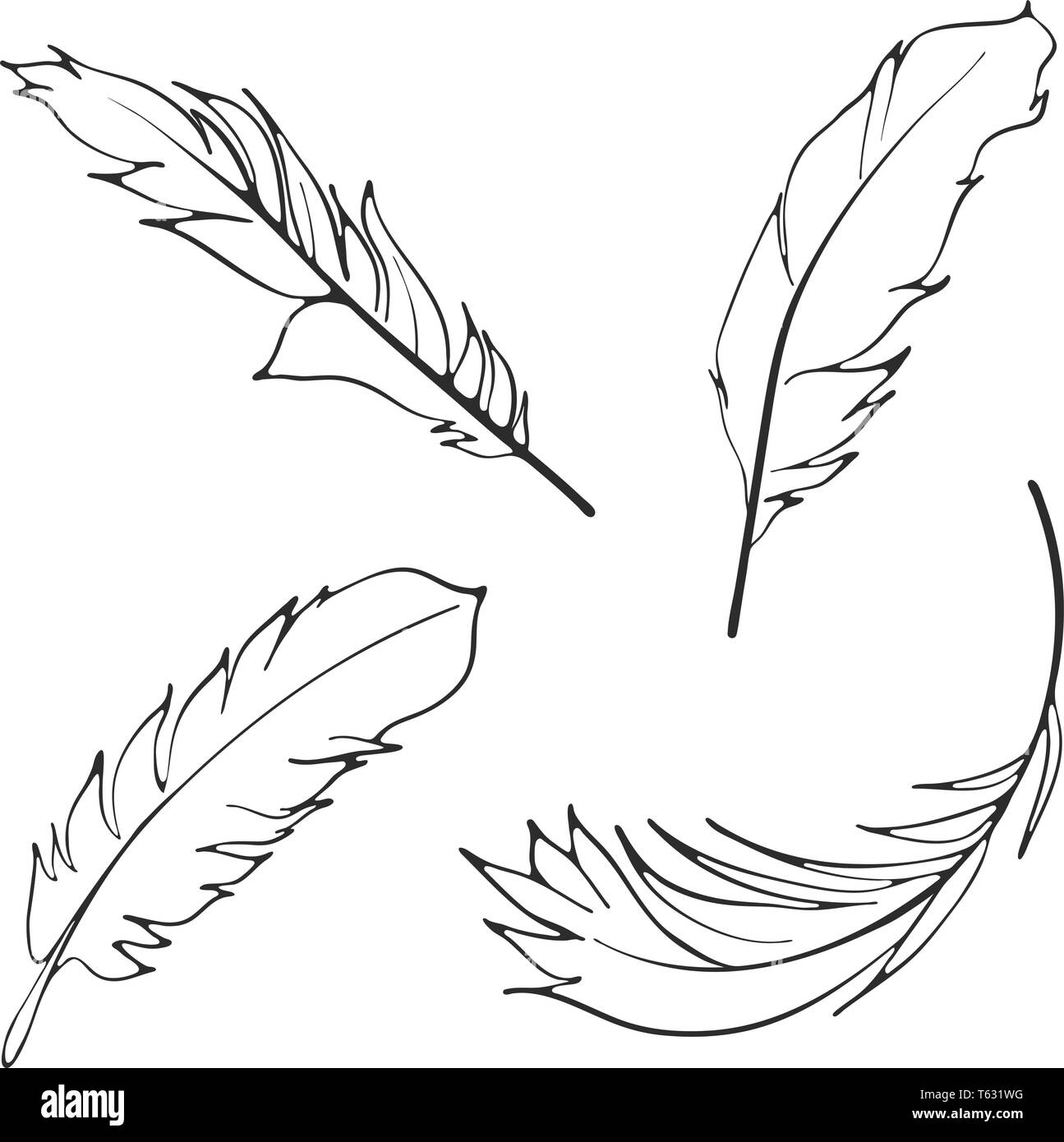 Line art feathers set, vector Stock Vector Image & Art - Alamy