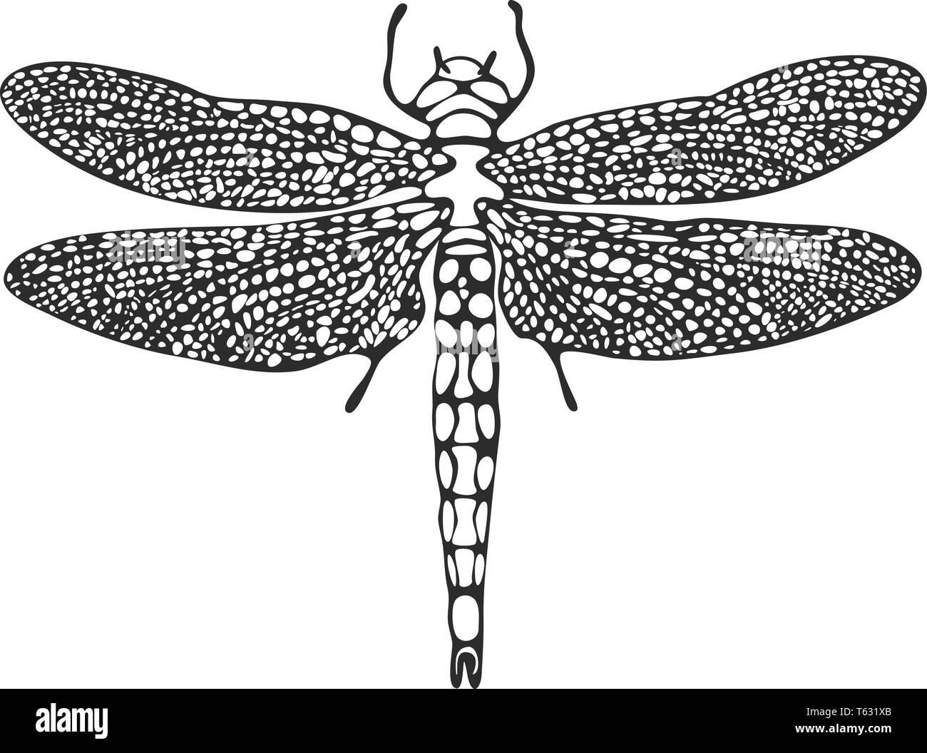 Dragonfly Line Drawing
