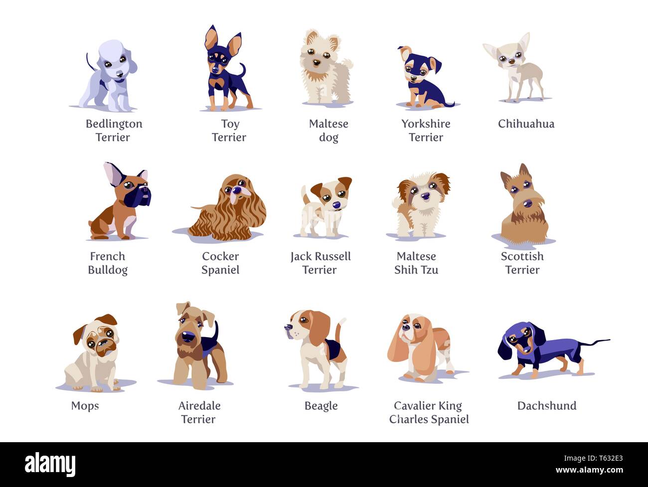 Jack Russell Yorkshire Terrier Stock Vector Images - Alamy