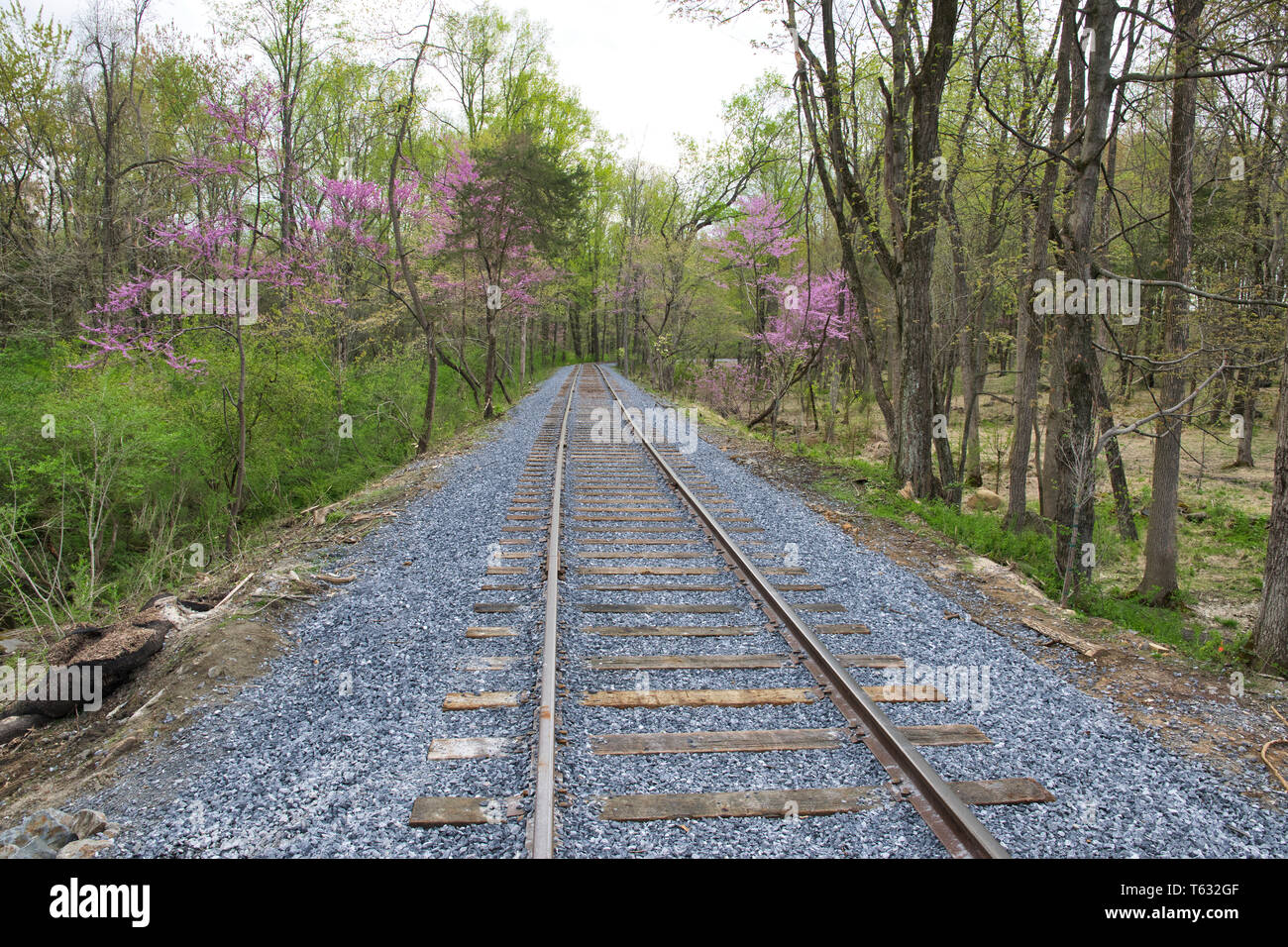 Train has right of way hi-res stock photography and images - Alamy