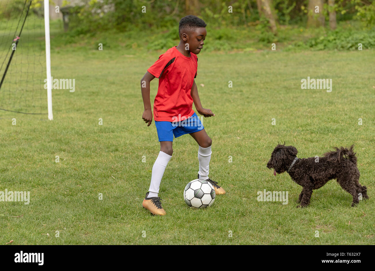 Boy playing soccer ball dog hi-res stock photography and images - Alamy