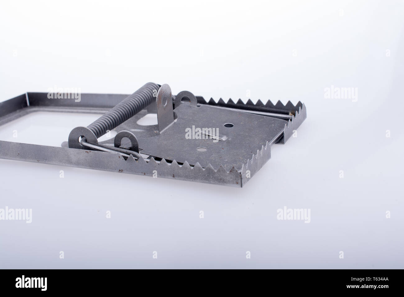 Steel mouse trap in a white background on display Stock Photo - Alamy