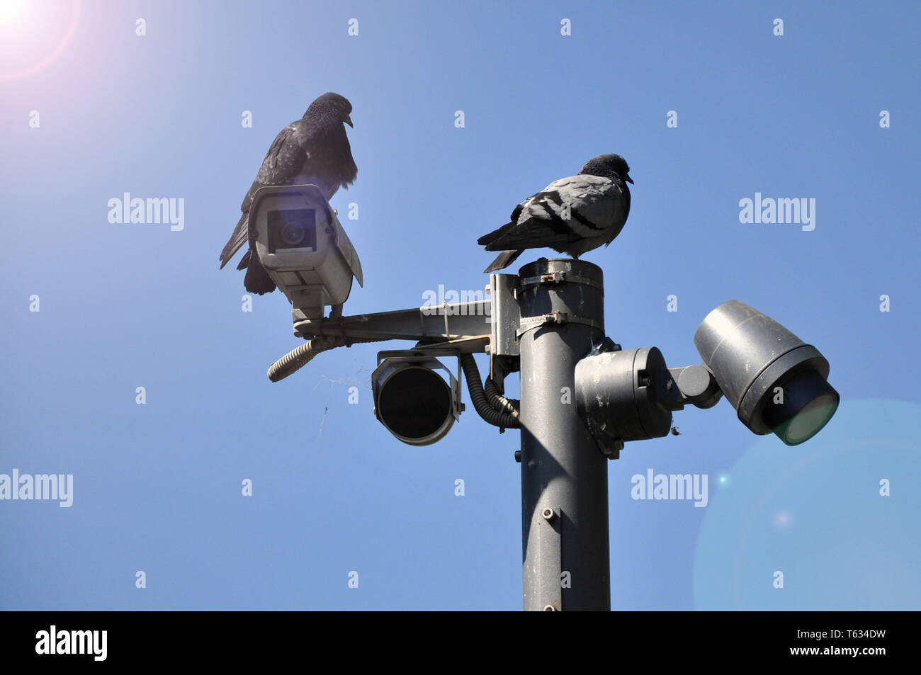 closed circuit camera Multi-angle CCTV system against the blue sky ...