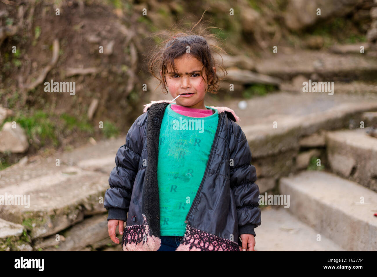 Kullu, Himachal Pradesh, India - March 01, 2019 : Portrait of himalayan ...