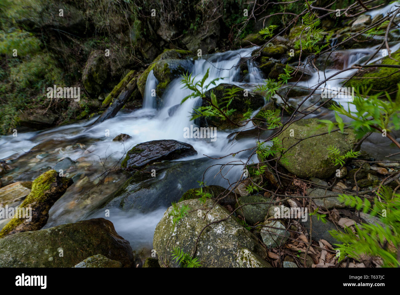 Photo of milky Water stream in himalayas - waterfall inIndia Stock ...