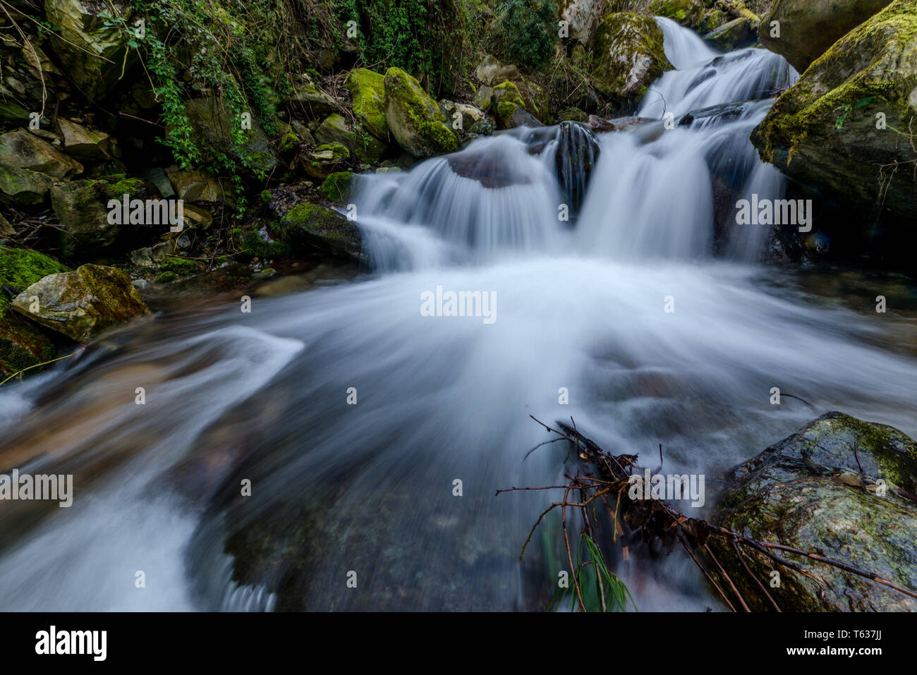 Photo of milky Water stream in himalayas - waterfall inIndia Stock ...