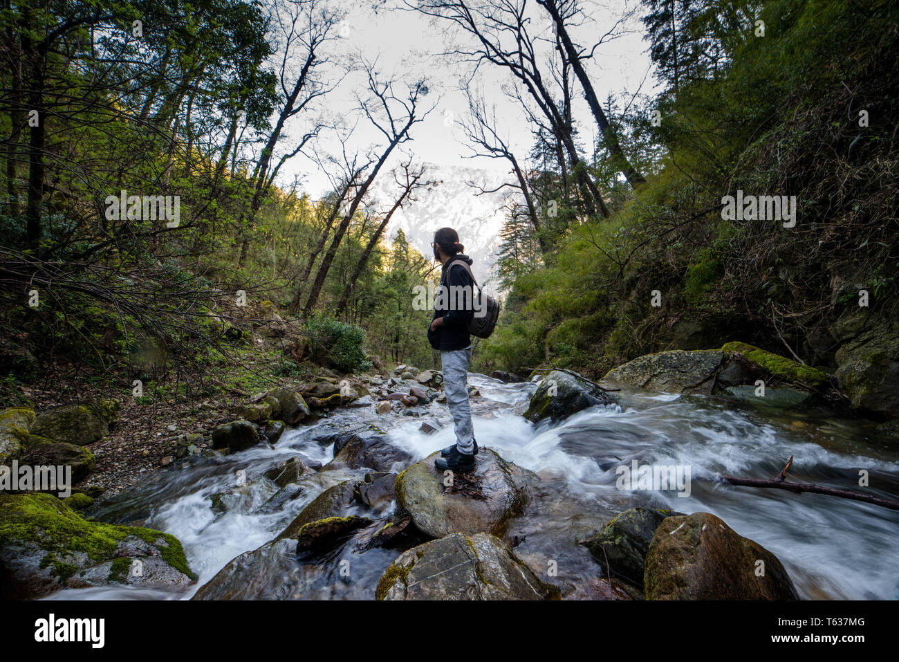 Kullu, Himachal Pradesh, India - March 01, 2019 - Traveller at milky ...