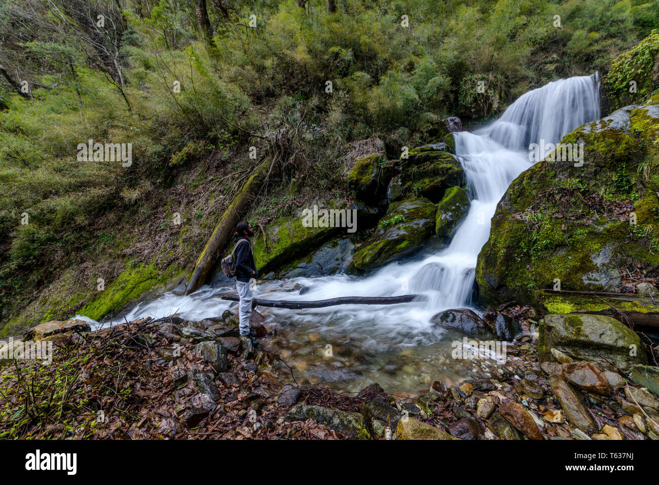 Photo of milky Water stream in himalayas - waterfall inIndia Stock ...
