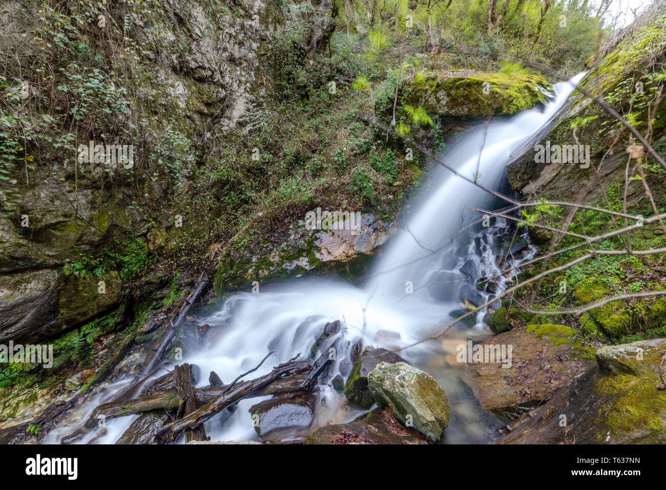 Photo of milky Water stream in himalayas - waterfall inIndia Stock ...