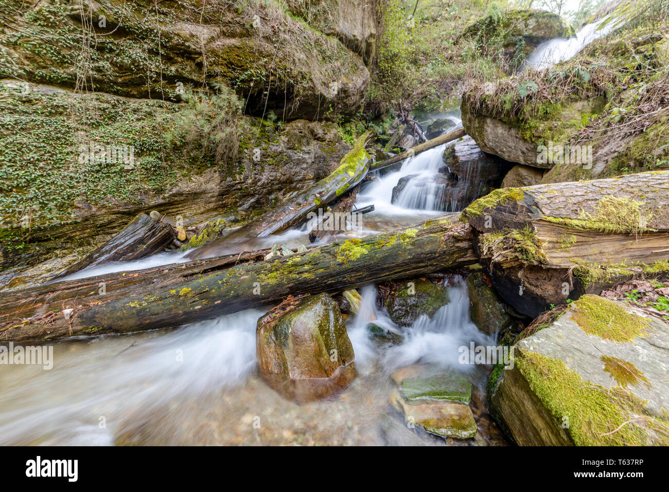 Photo of milky Water stream in himalayas - waterfall inIndia Stock ...
