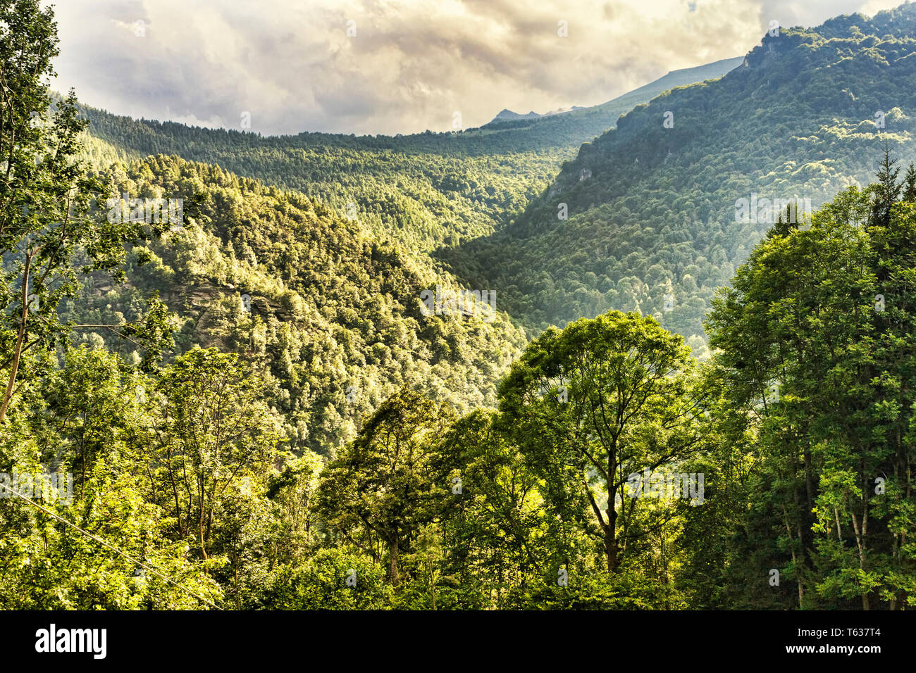Awesome mountain forest panorama, top view of hills, mountains and ...
