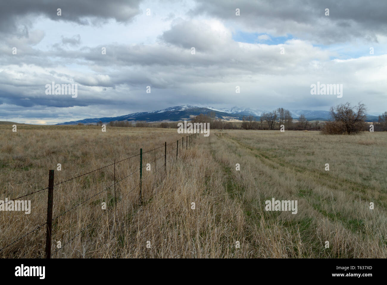 A barbed wire fence line with tall prairie grasses with the Elkhorn ...
