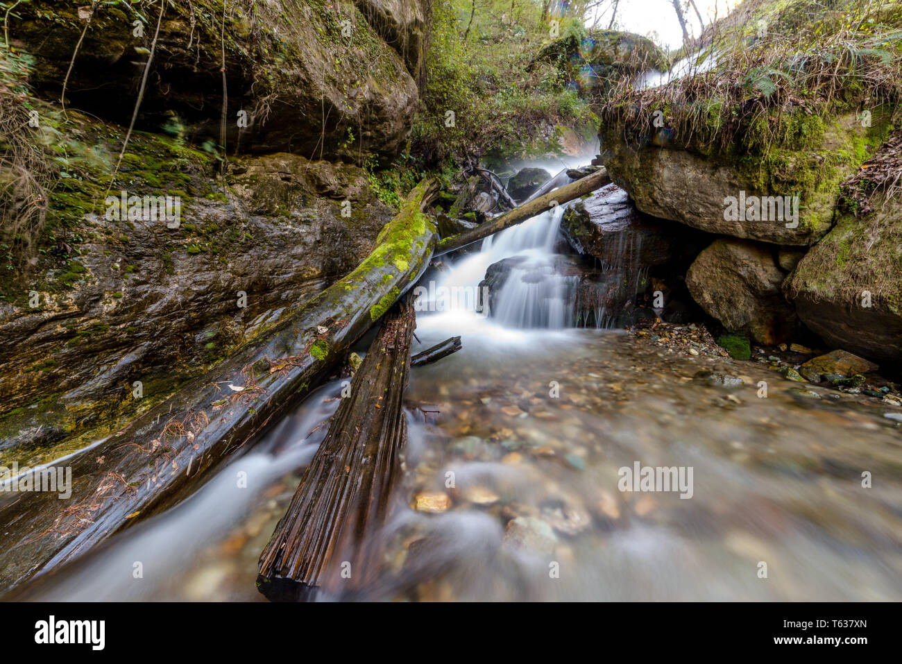 Photo of milky Water stream in himalayas - waterfall inIndia Stock ...