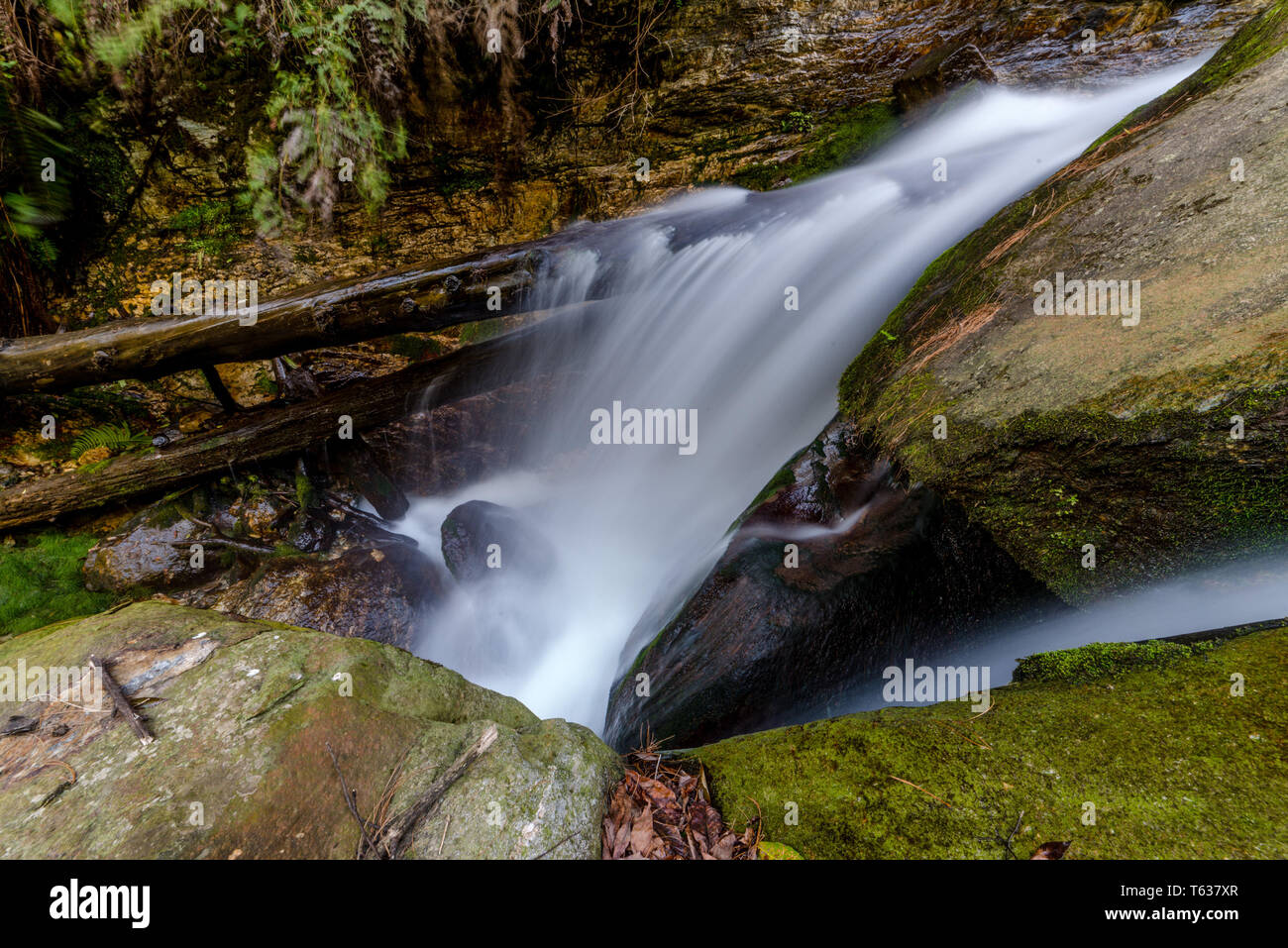Photo of milky Water stream in himalayas - waterfall inIndia Stock ...