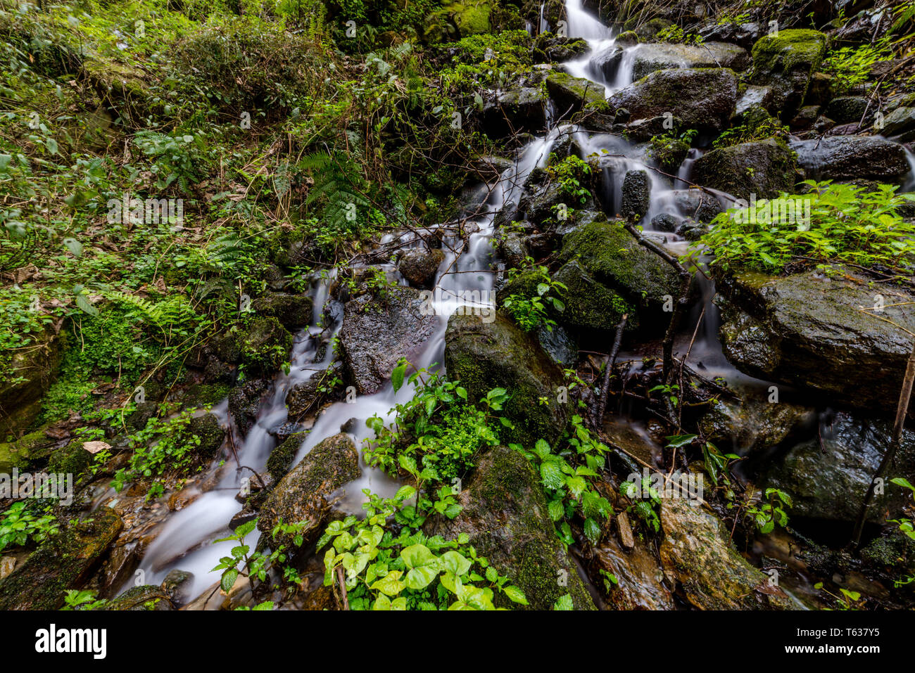 Photo of milky Water stream in himalayas - waterfall inIndia Stock ...