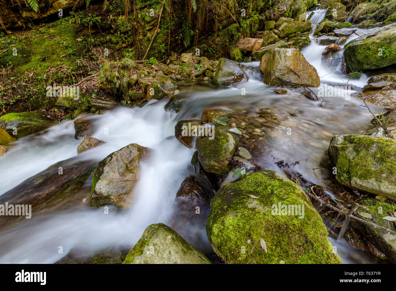 Photo of milky Water stream in himalayas - waterfall inIndia Stock ...