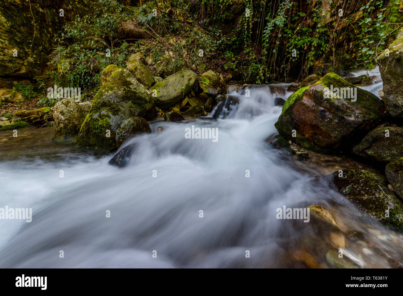 Photo of milky Water stream in himalayas - waterfall inIndia Stock ...