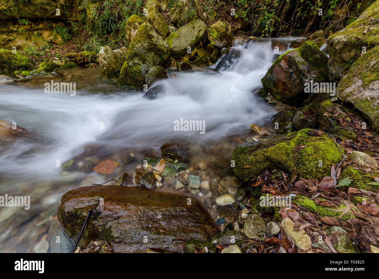 Photo of milky Water stream in himalayas - waterfall inIndia Stock ...