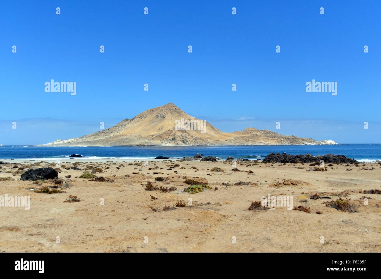 Pan de Azucar Island, Chile, Southamerica Stock Photo - Alamy