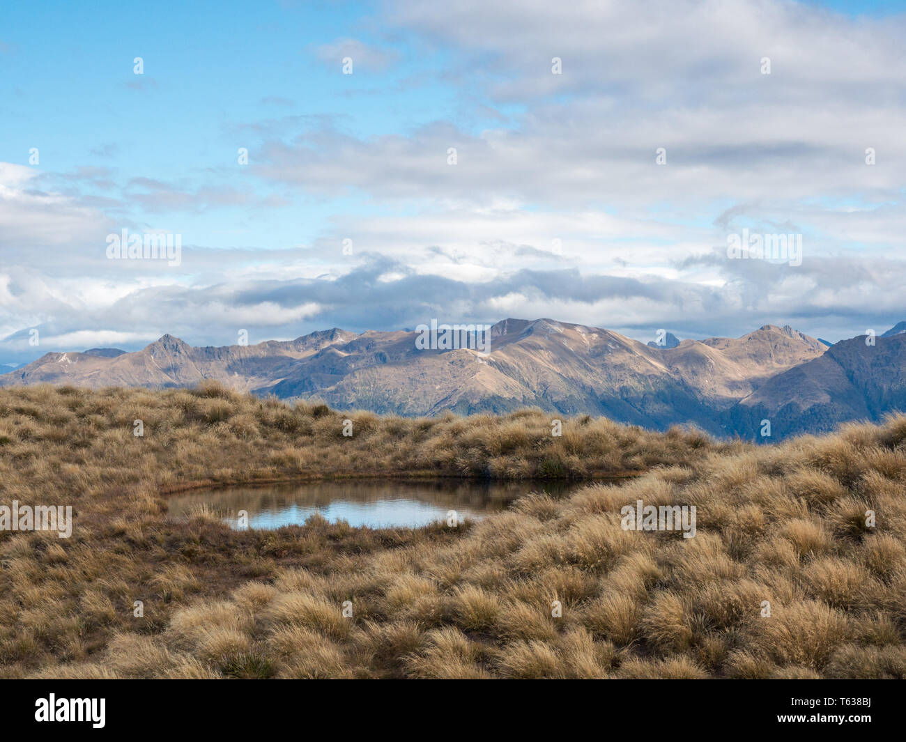 Treeline hi-res stock photography and images - Alamy