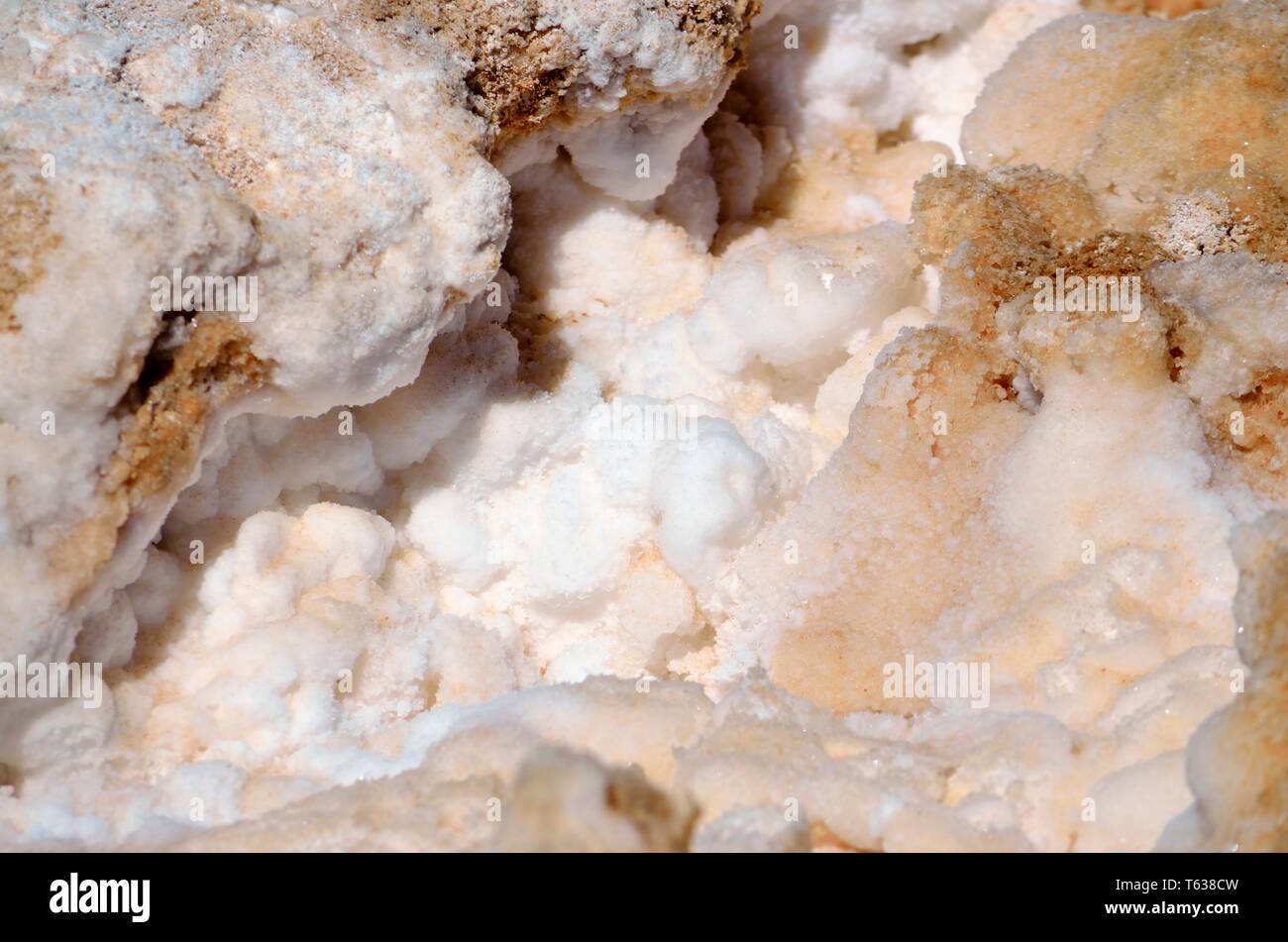Salt Grain, atacama, Chile Stock Photo - Alamy Salt Grain, atacama, Chile Stock Photo - Alamy