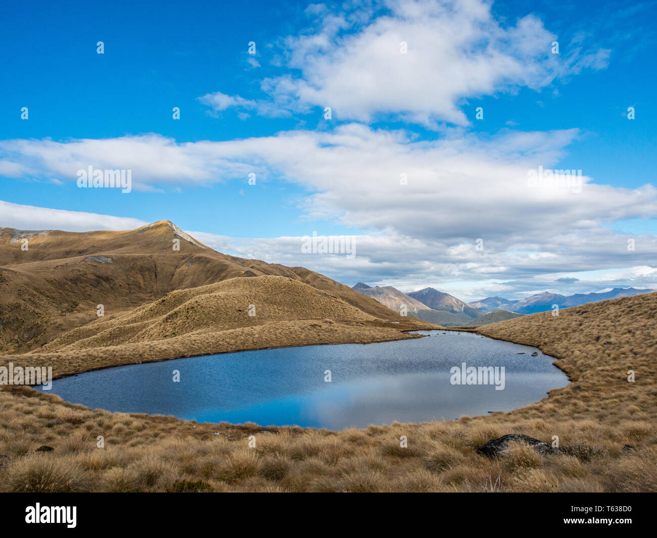 Treeline hi-res stock photography and images - Alamy