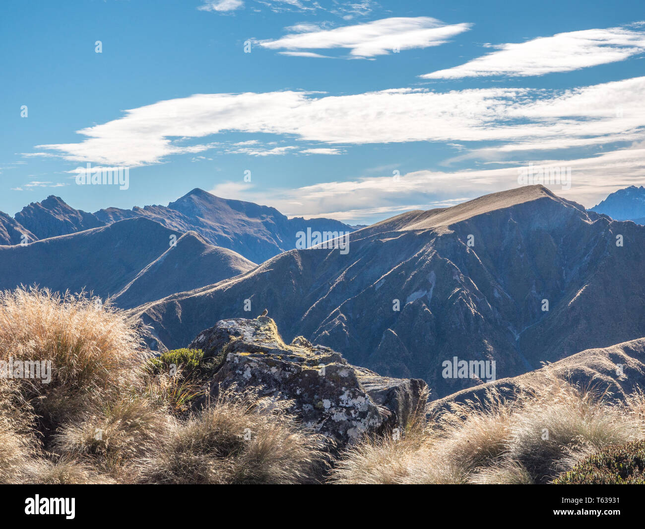Fiordland natonal park hi-res stock photography and images - Alamy