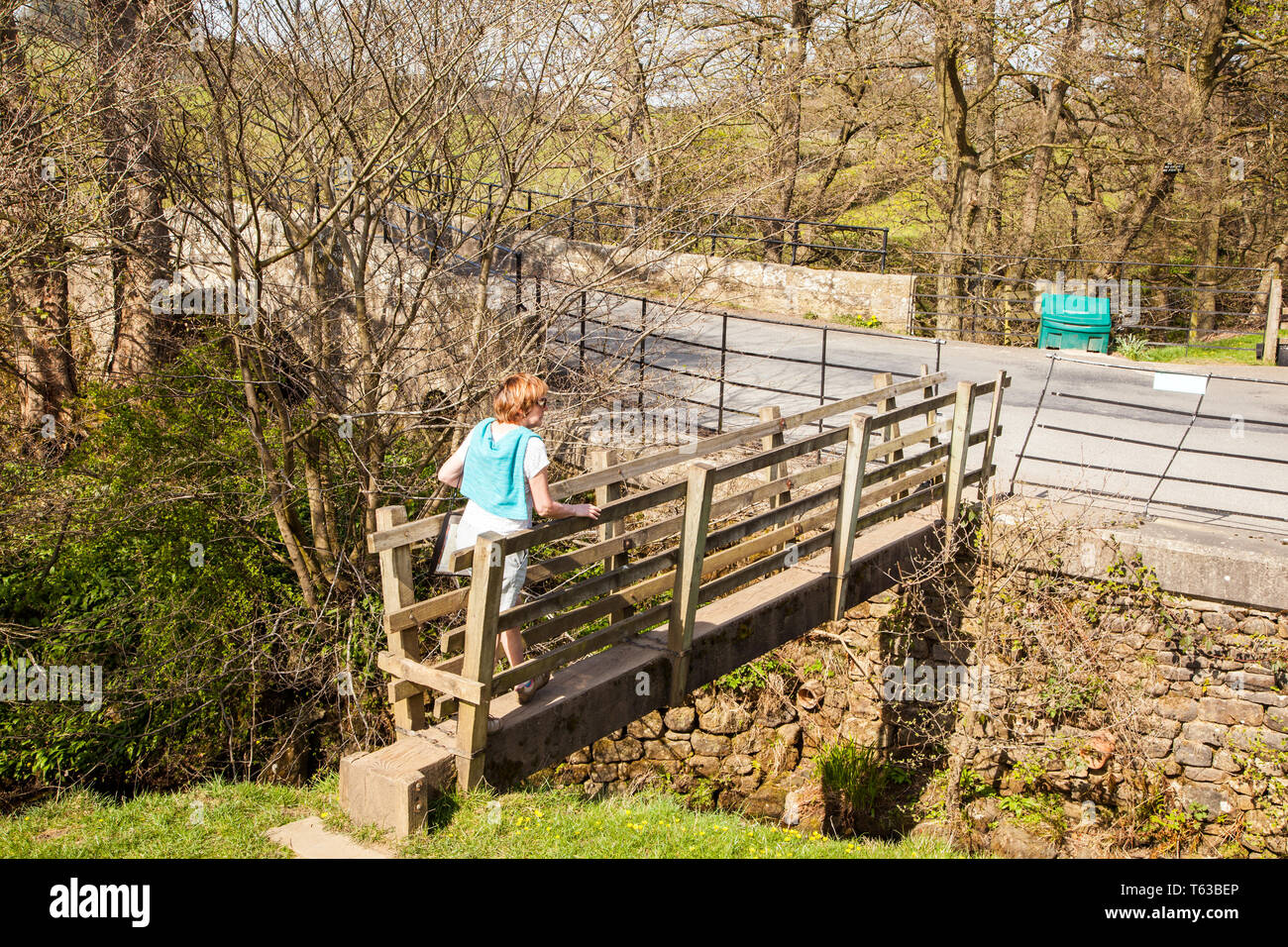 Person walking through wooden footbridge hi-res stock photography and ...