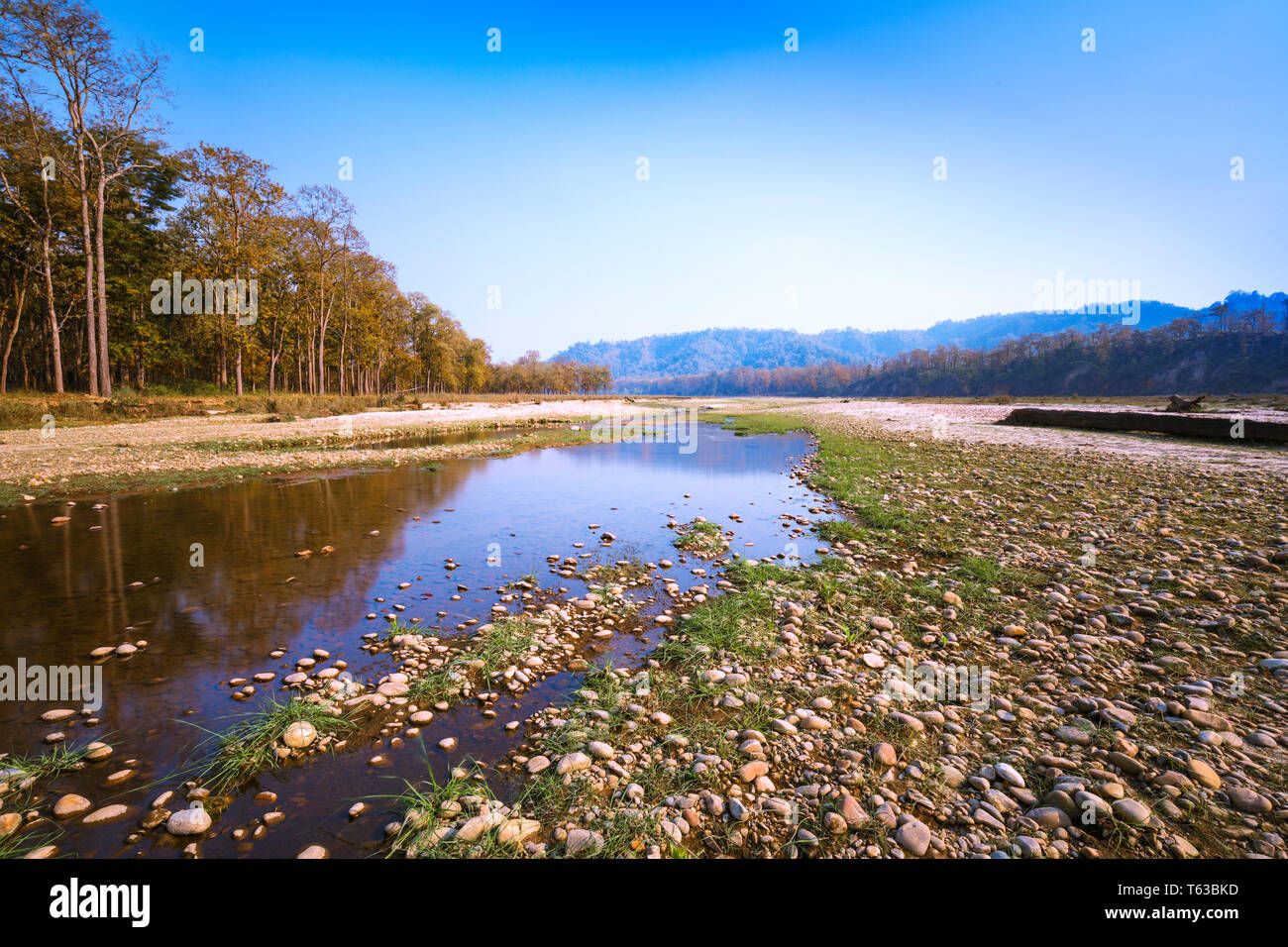 Beautiful Landscape Madi River Background chitwan National park Nepal ...