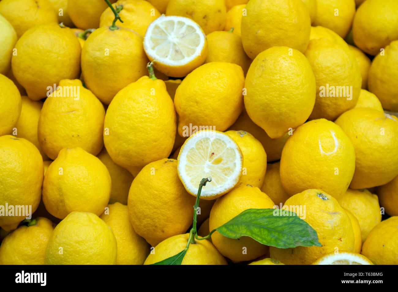 Lemons harvest. Whole lemons and cut background, texture. Closeup view ...
