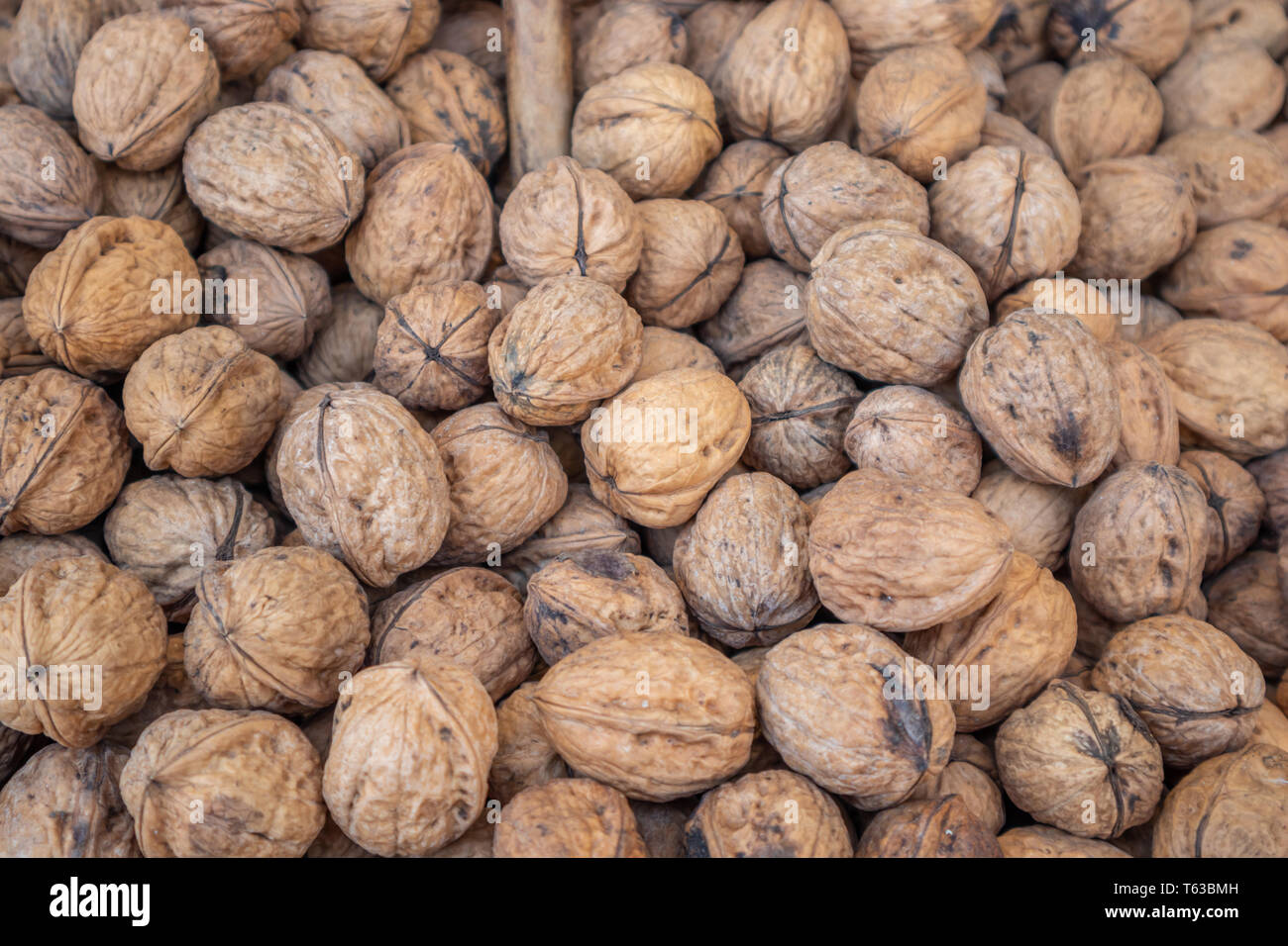 Walnuts harvest. Whole walnuts with shell background, texture. Closeup ...