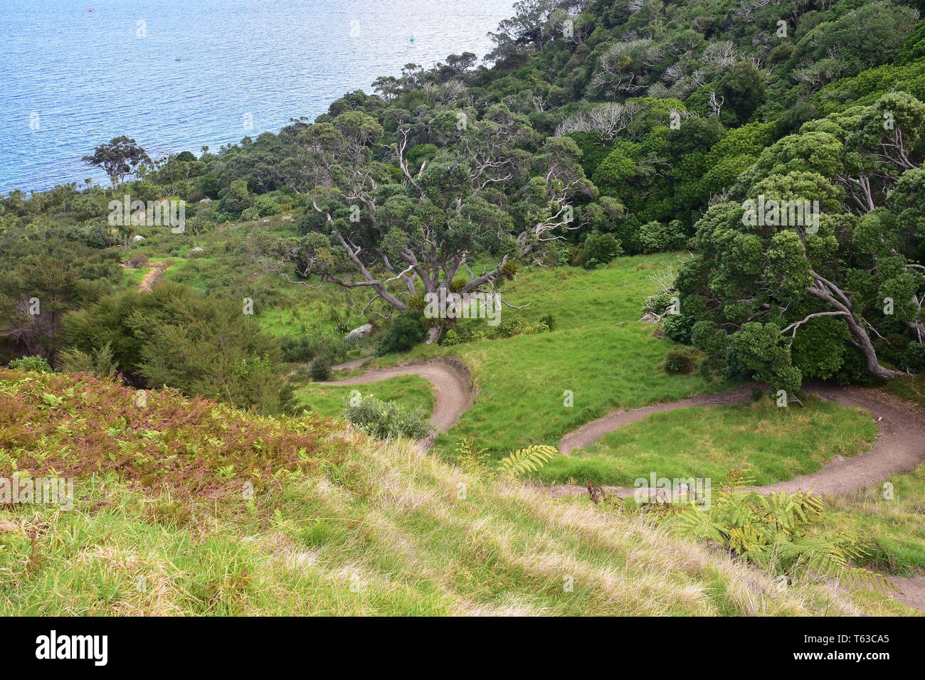 Bushby head hi-res stock photography and images - Alamy
