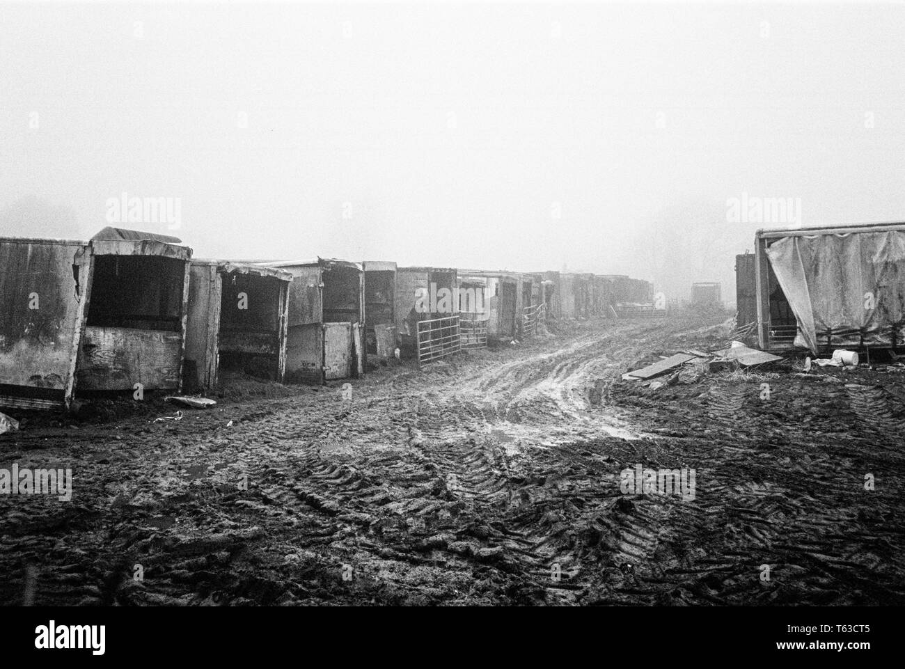 Pig farm, Lymington Bottom Road, Medstead, Hampshire, England, United ...